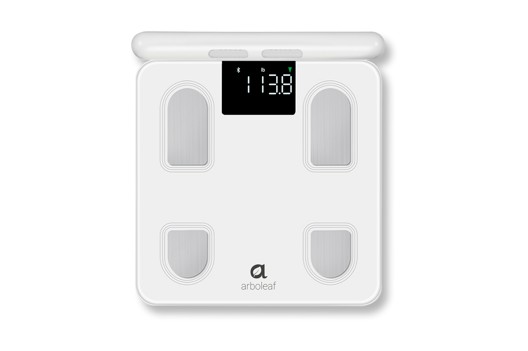 Segmental Body Scale CS10E