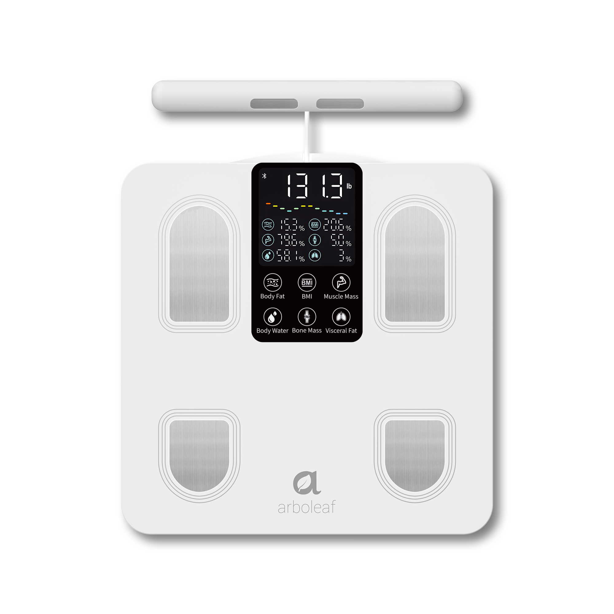 Segmental Body Scale CS10E
