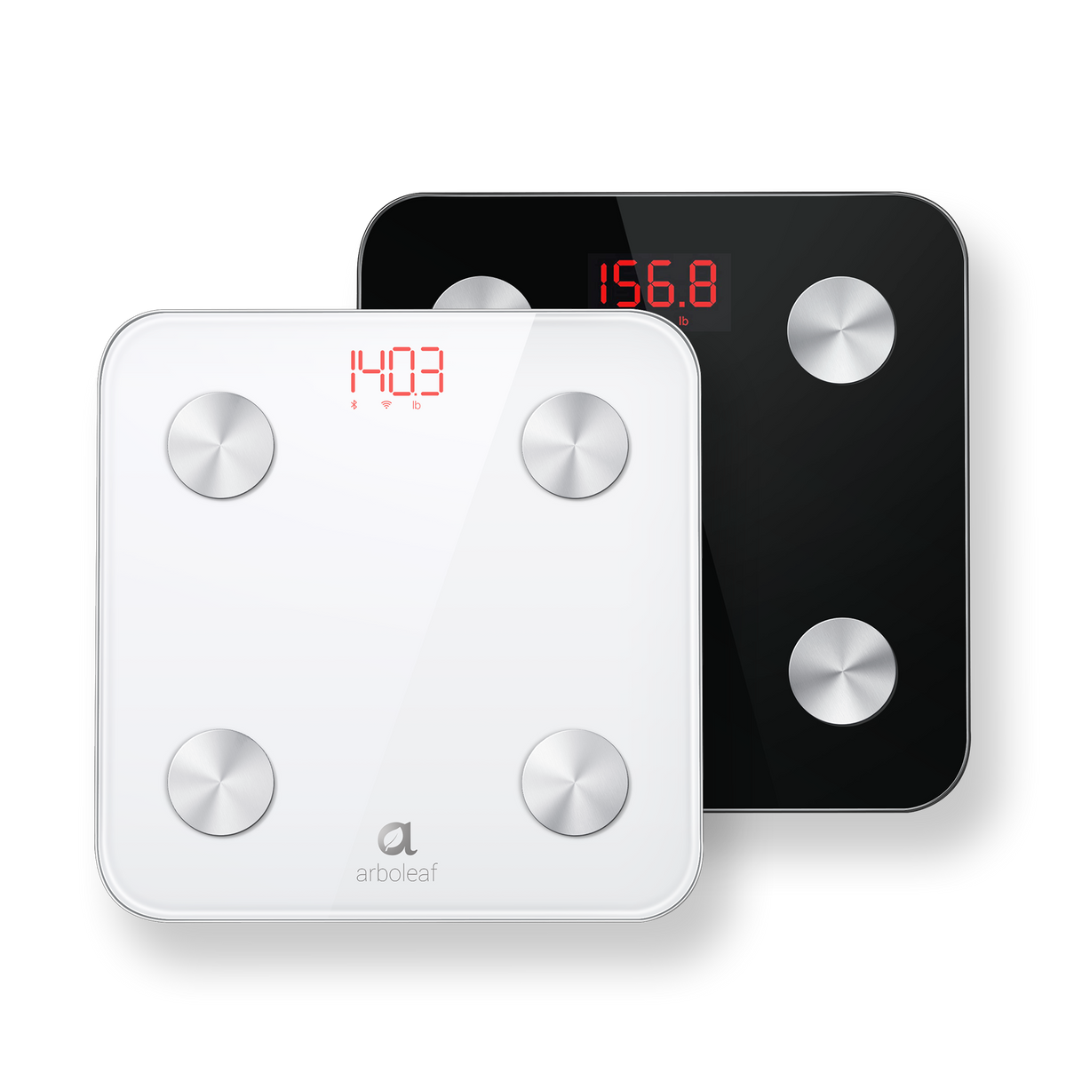 support CS20M (2019-2022)